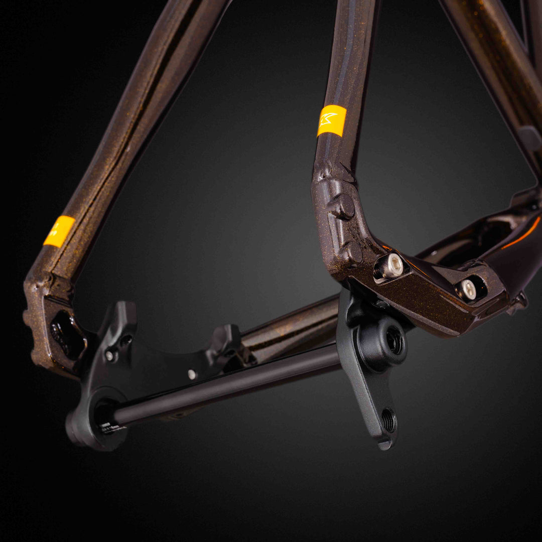 Kinesis FF29 Frame, Black Bronze – Kinesis Bikes